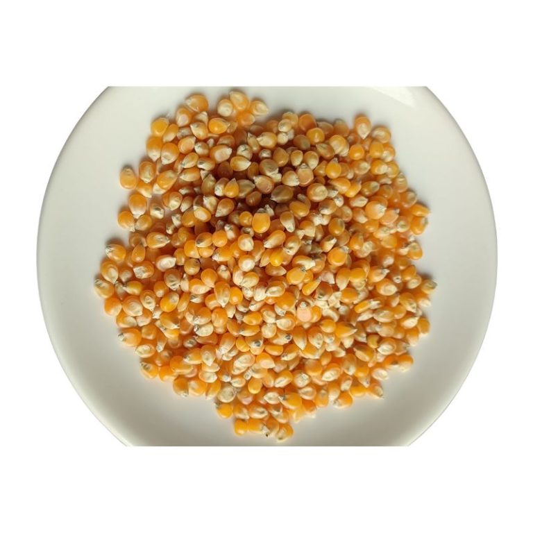 Maíz Curagua – Extrufood