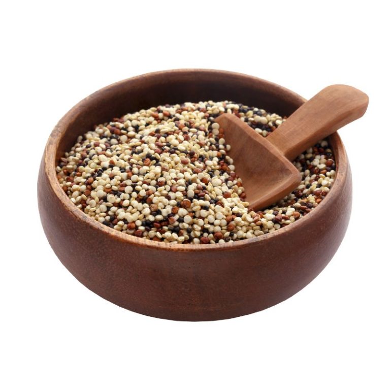 Semilla de Quinoa Tricolor – Extrufood
